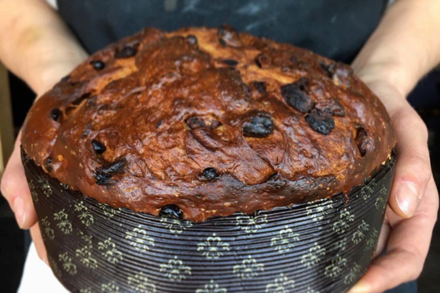 Le panettone végane de ce café de Montréal fera même saliver vos ...