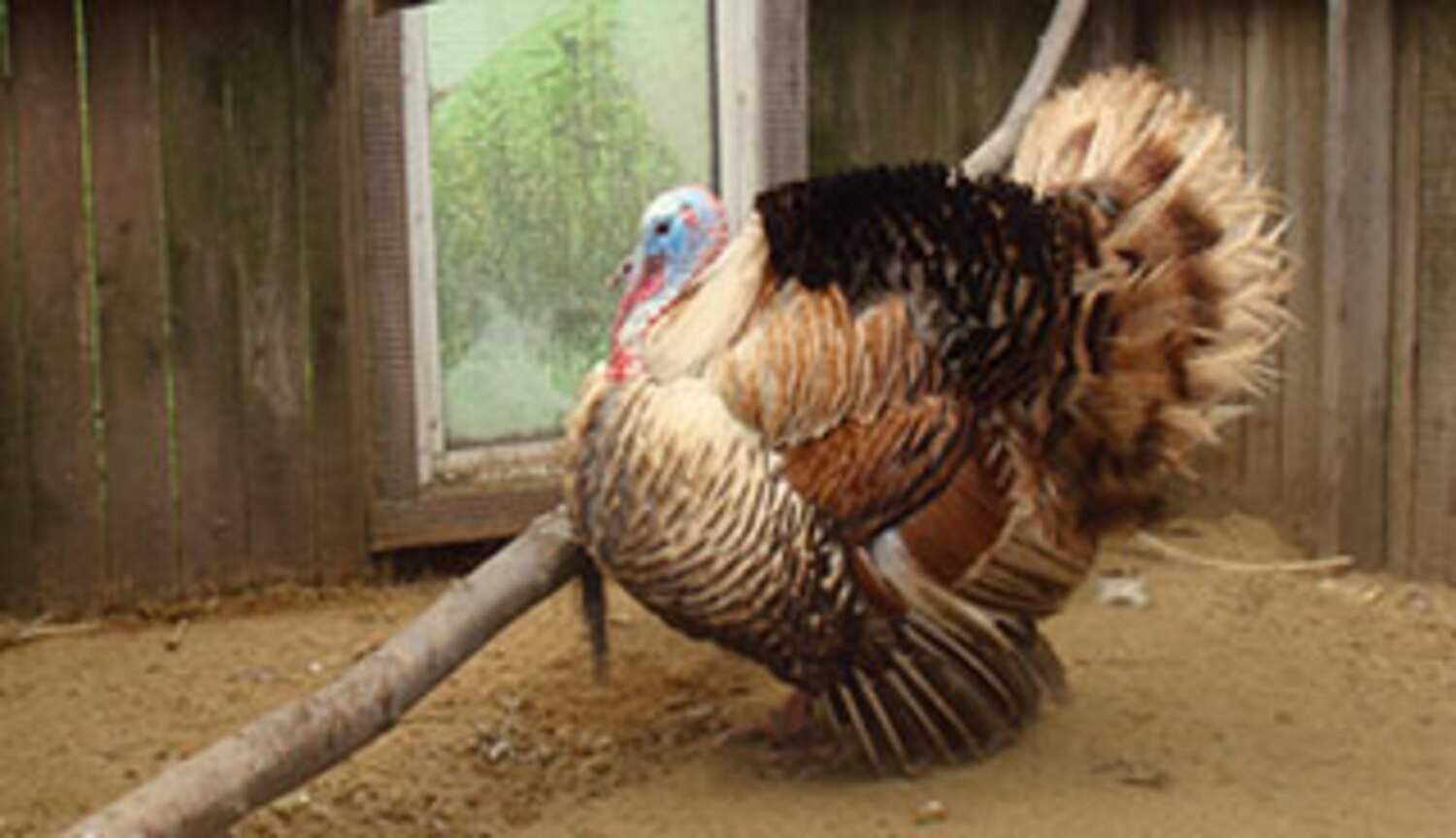 Ferme Apreo | Recettes du Québec