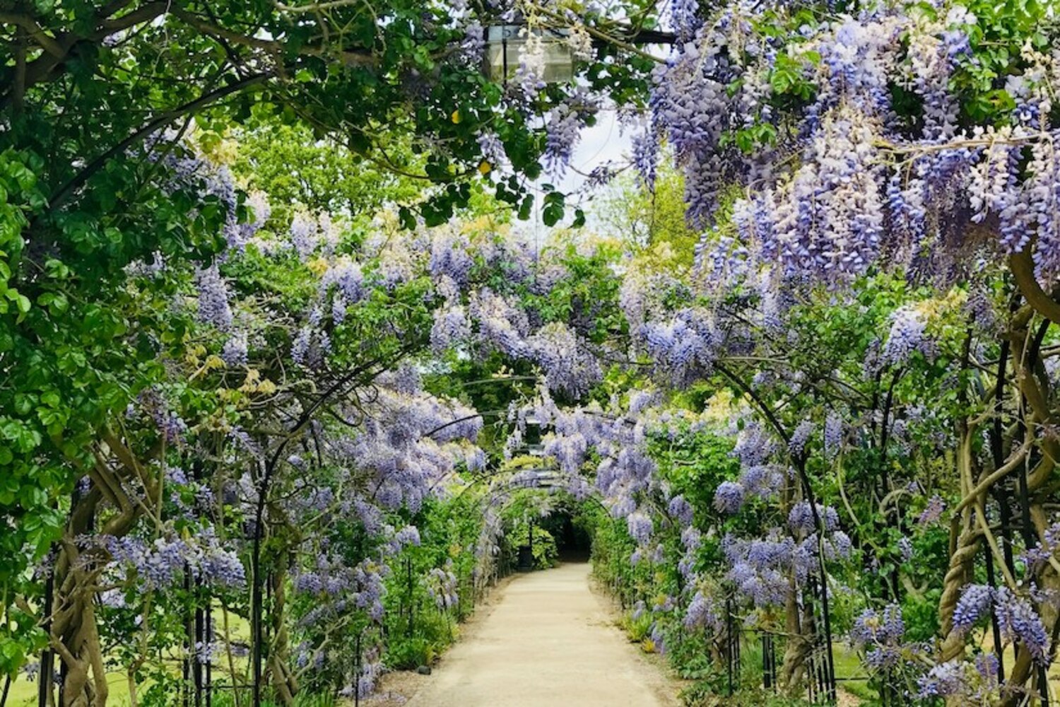 7 Garden Trends We’re Going To See In 2025 | Style at Home