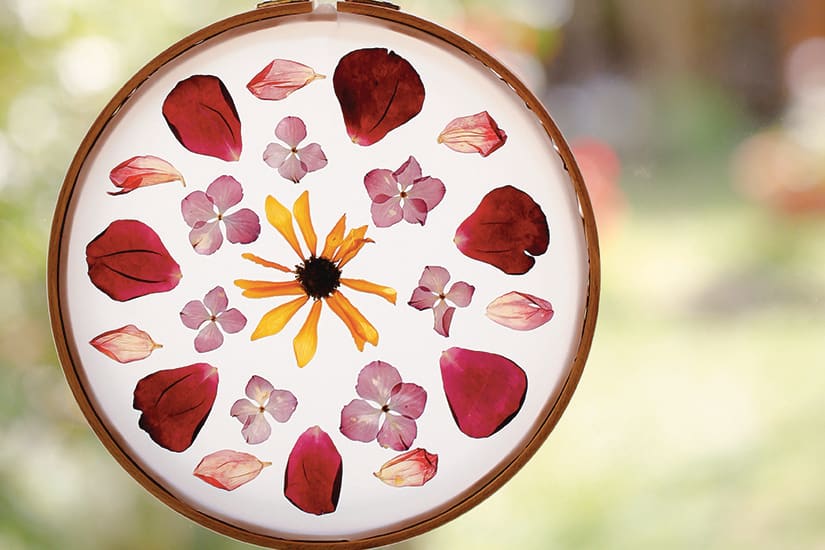 Botanical Crafts: 3 Ideas for Your Garden Indoors | Style at Home