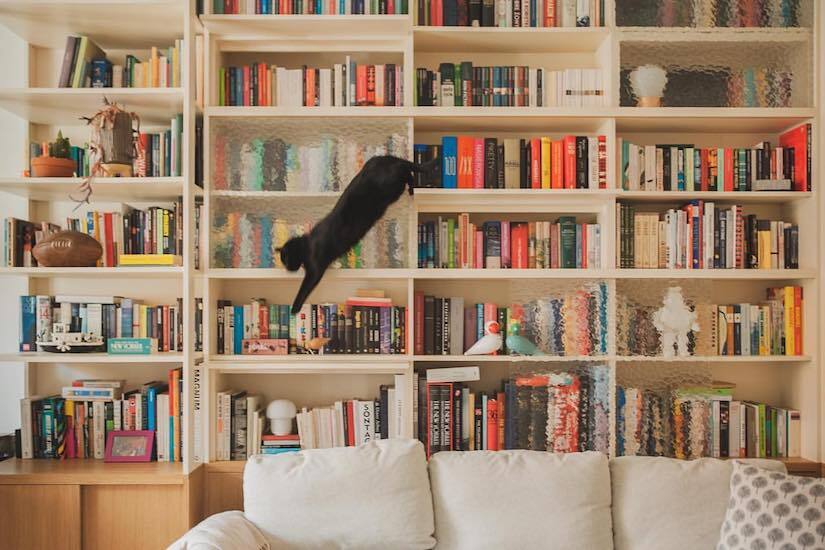 15 bookshelf wealth examples that show off the viral trend | Style at Home
