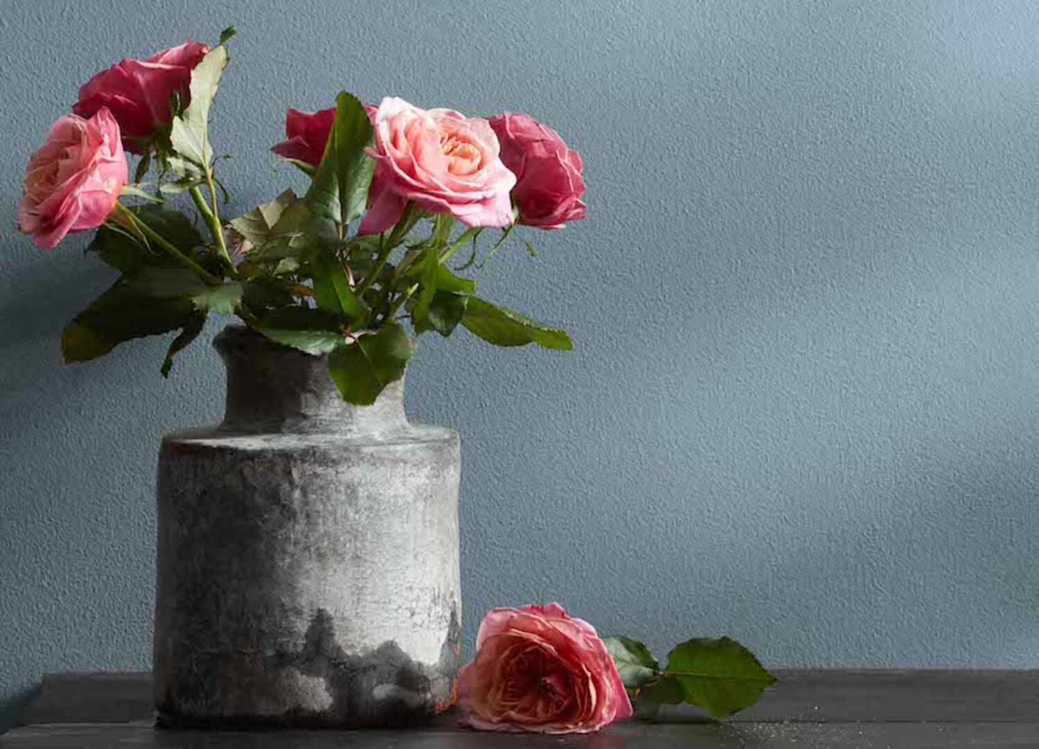 5 Paint Colours We’re Loving This Winter | Style at Home