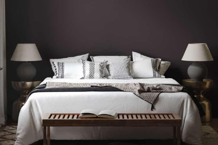 Sico Paints Unveils Its 2025 Colour Of The Year | Style at Home