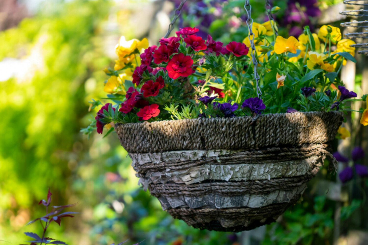 11 Gorgeous Hanging Baskets Ideas For Your Property | Style at Home