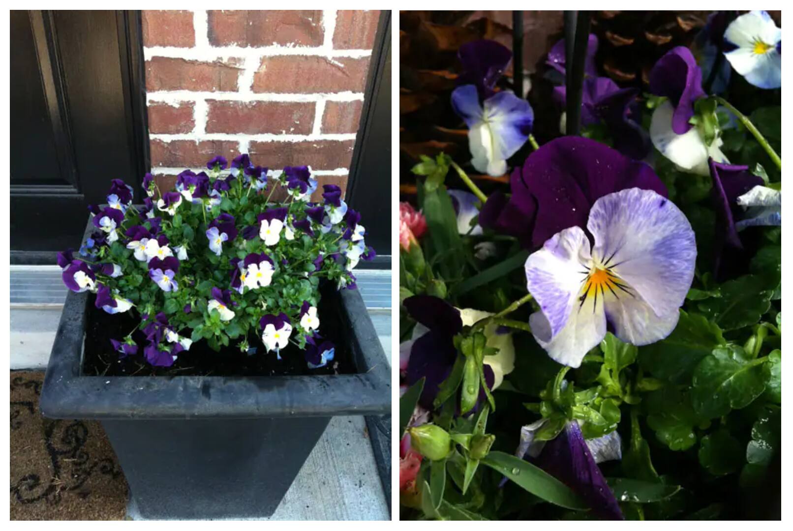 How-to: Spring Container | Style at Home