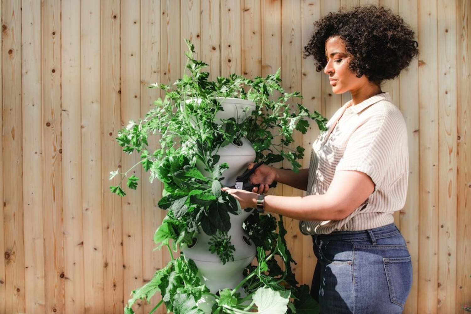 This is when you can bring your plants outside | Style at Home