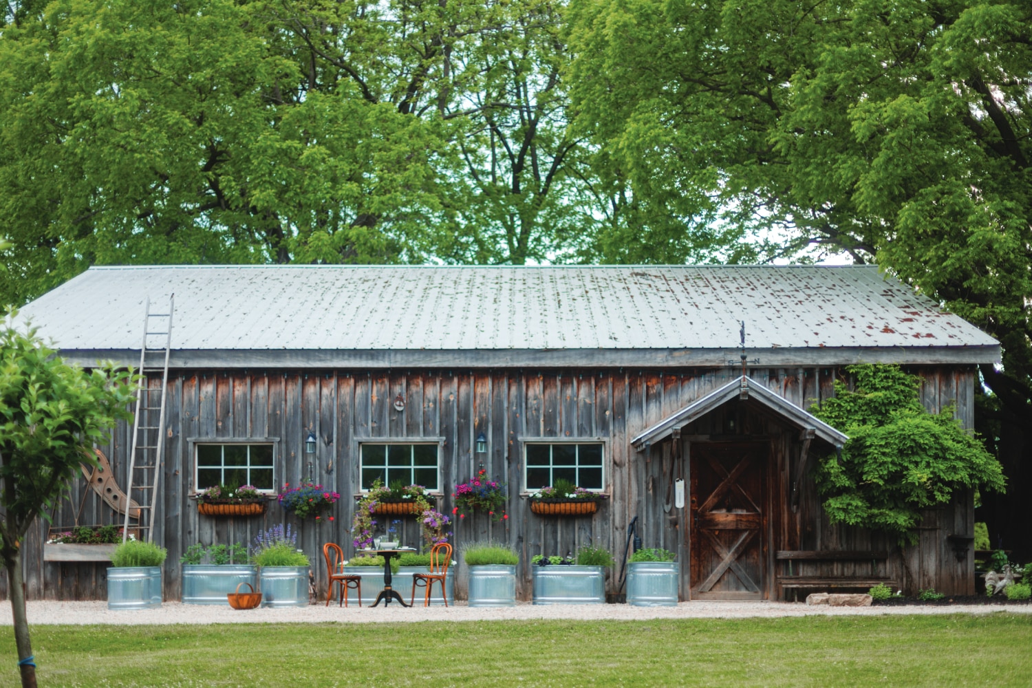 Backyard Tour : Country Time | Style at Home