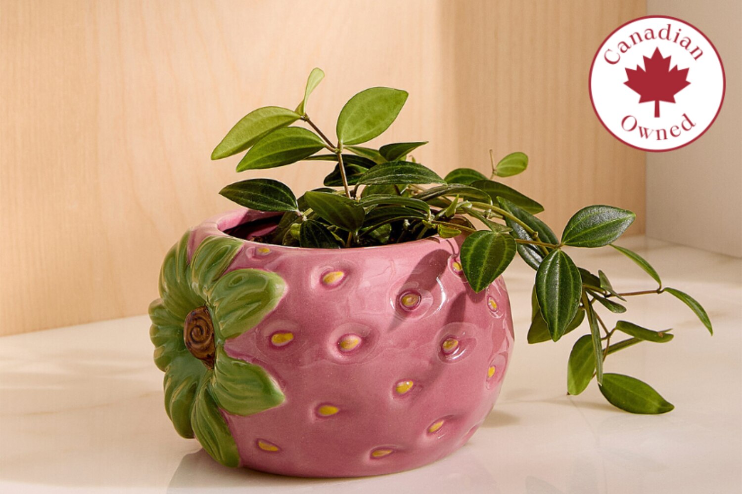 14 Pretty Planters & Pots For Your Spring Garden | Style at Home