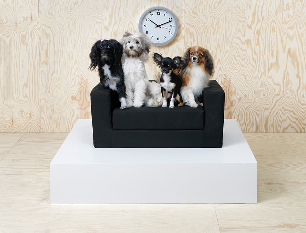 Our 6 favourite items from Ikea's new pet line | Style at Home