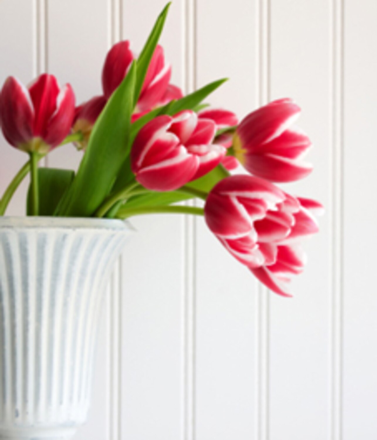 10 ways to welcome spring | Style at Home