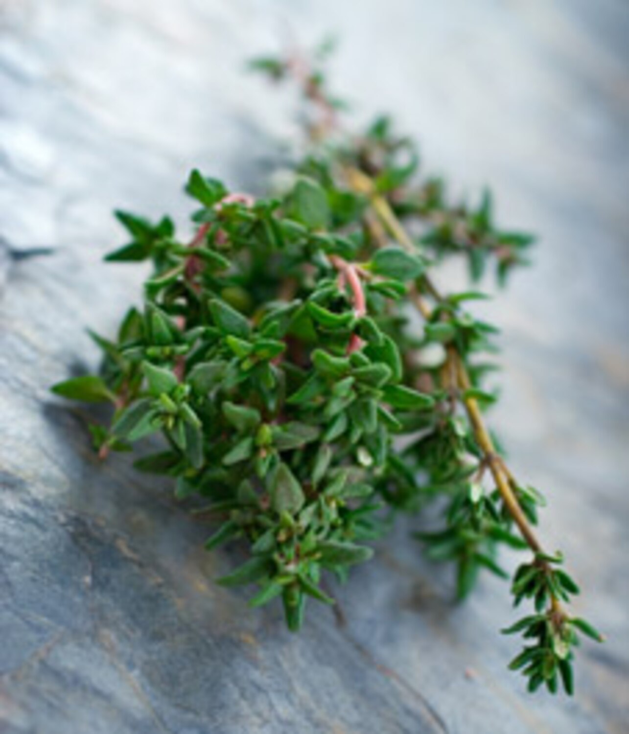 Cooking with thyme | Style at Home