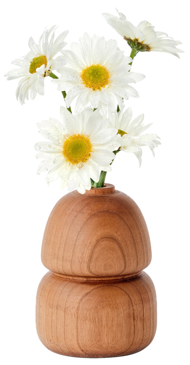 6 pretty vases for showing off your favourite blooms | Style at Home