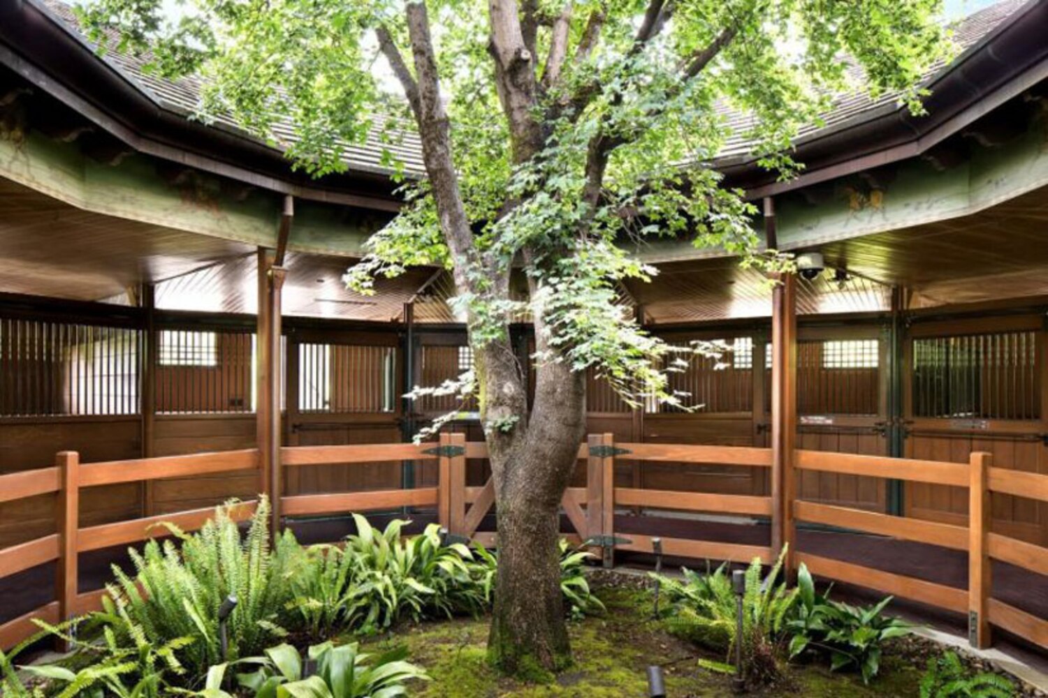 Michelle Pfeiffer is selling her San Francisco home for a cool $29.5M ...