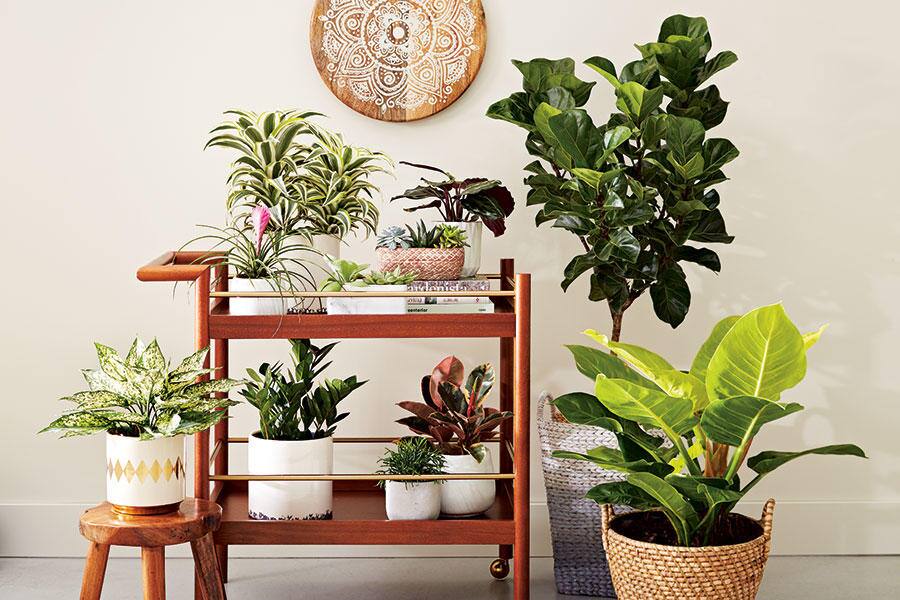 Most pinned: 2018 home design trends according to Pinterest | Style at Home