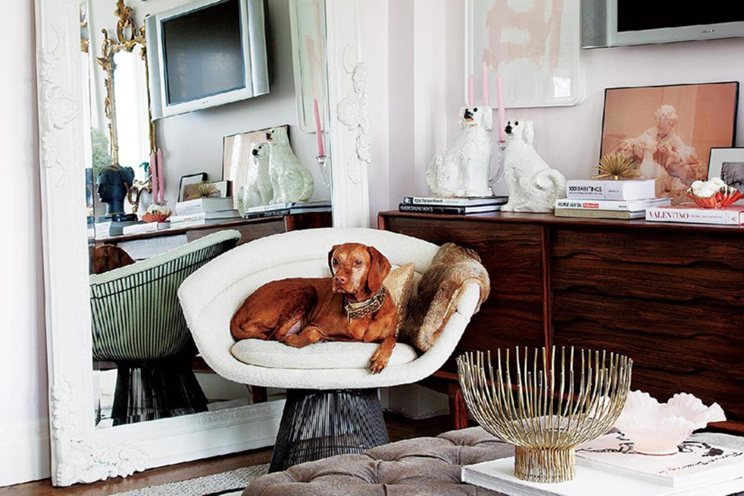 15 stylish pet-friendly homes | Style at Home