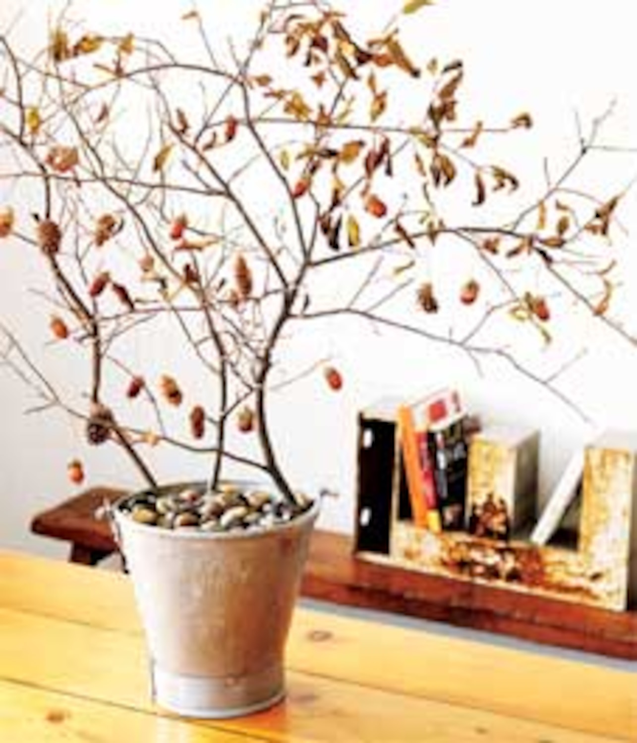 DIY project: Potted tree branch sculpture | Style at Home