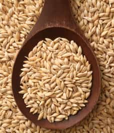 Basics of barley: The original grain | Style at Home