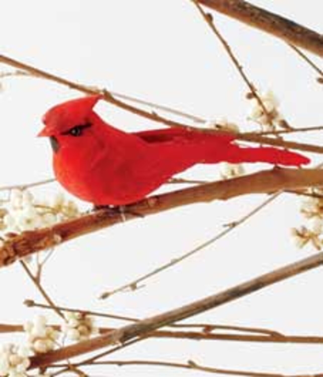 Trendspotting: Cardinal decor | Style at Home