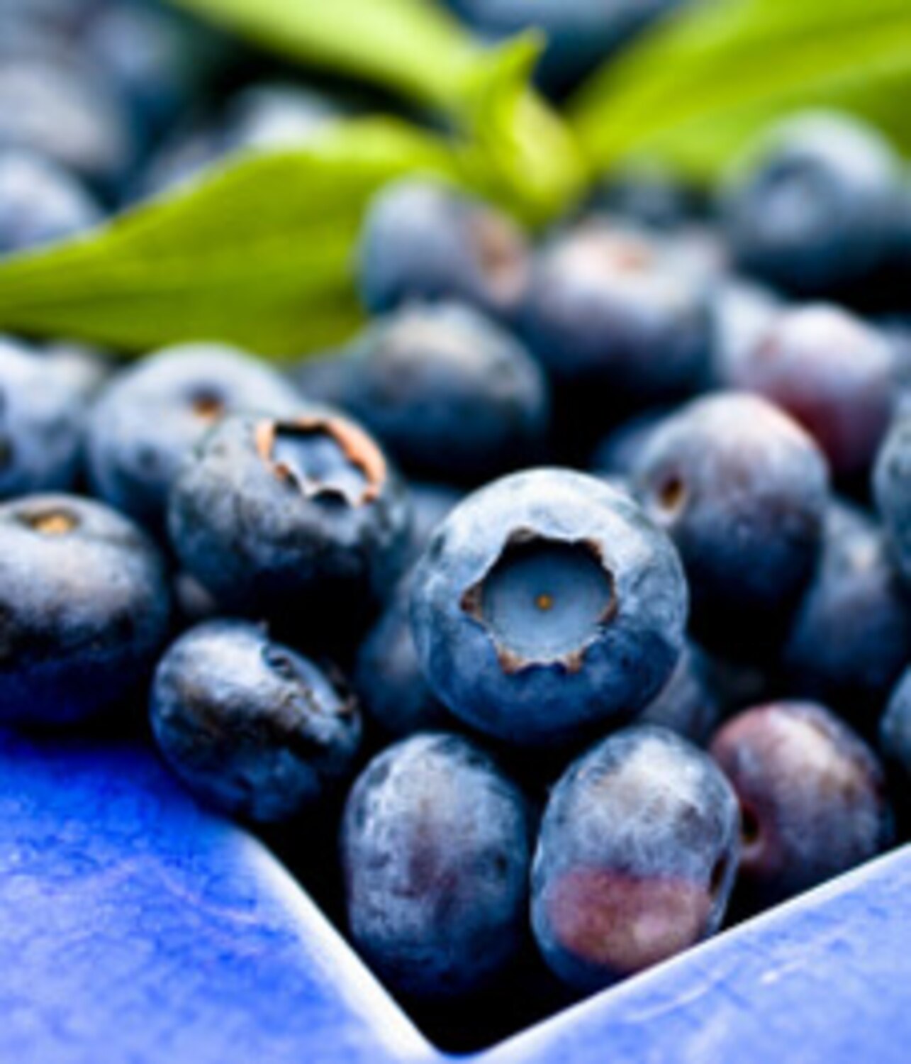 The brilliance of blueberries | Style at Home