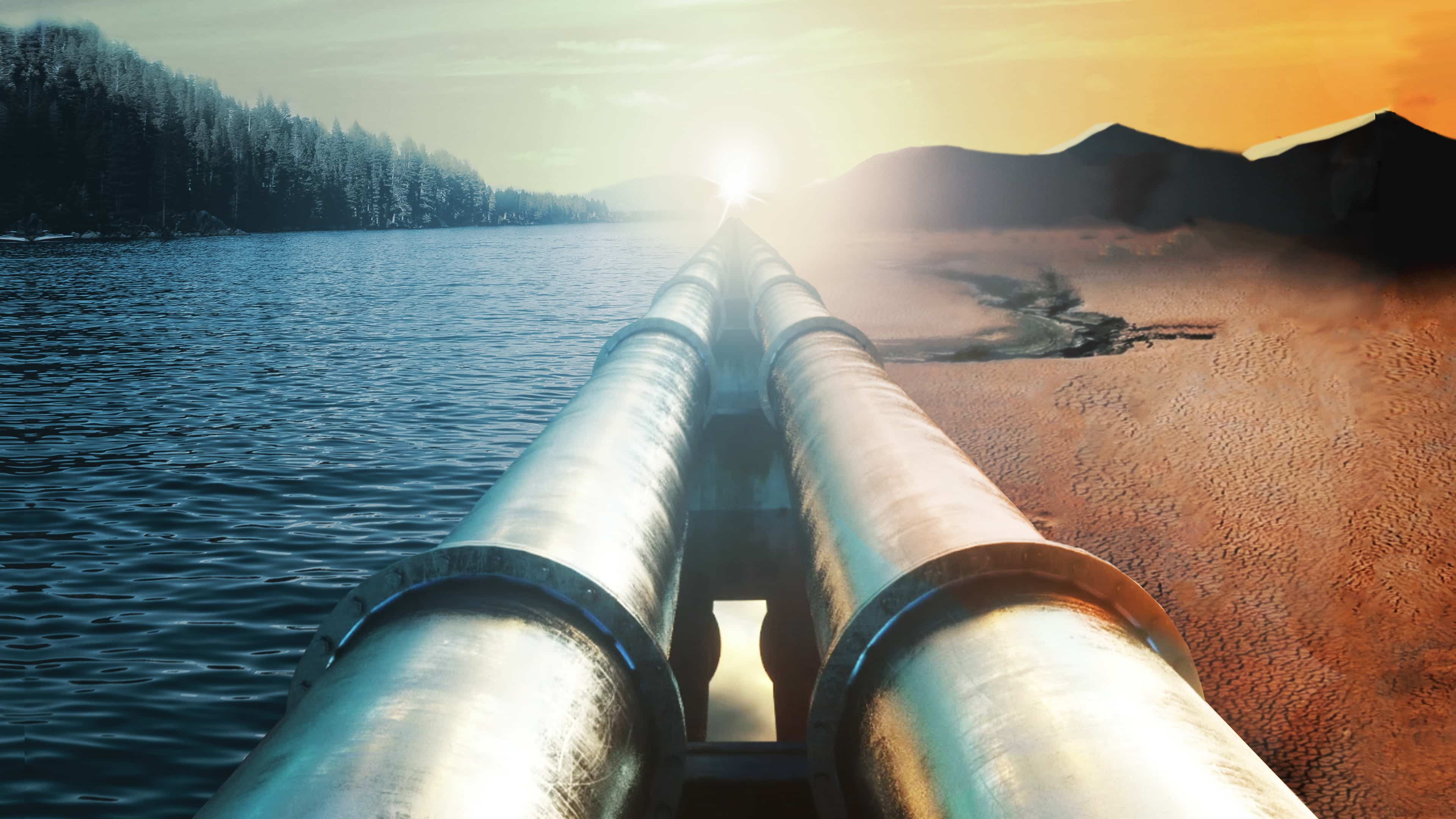 La course à l'or bleu | illico+